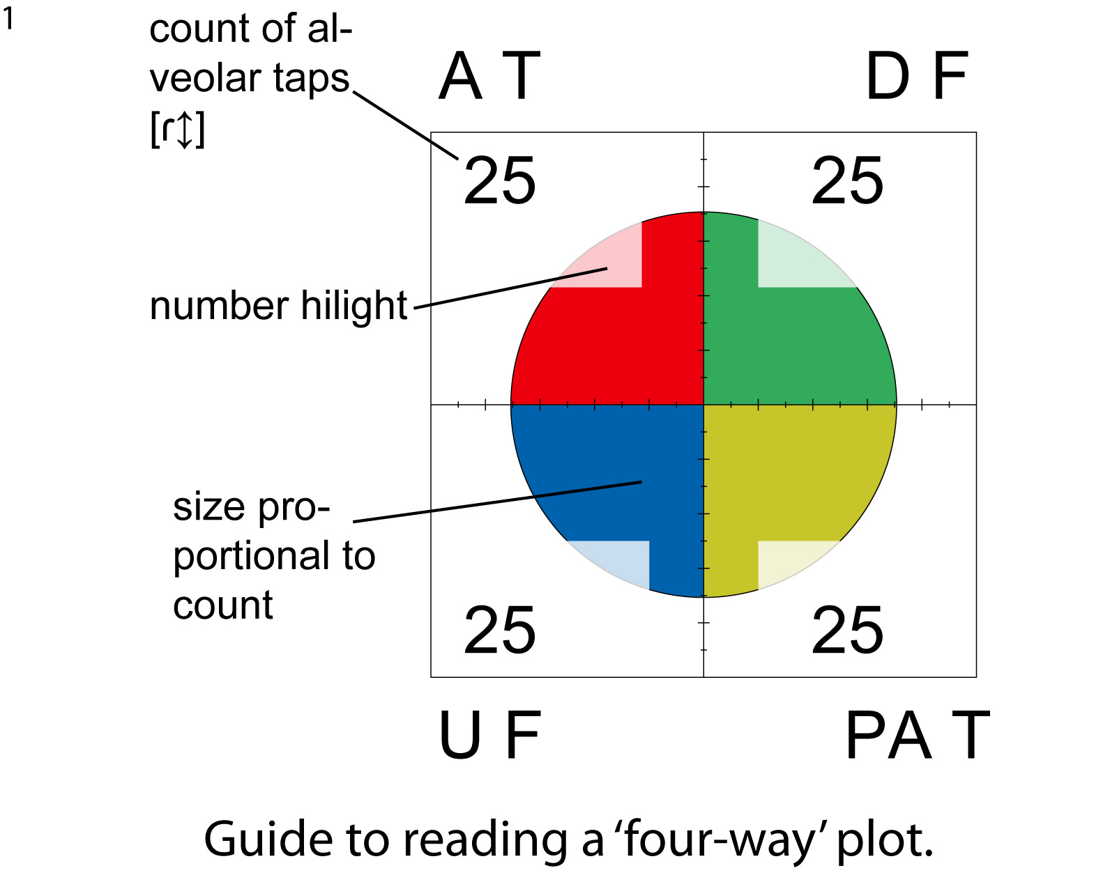 Kinematic Variations in Flaps, Taps and Rhotics in English